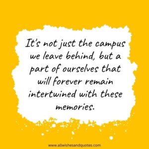 Last Day Of College Quotes: Top 30 Heart Touching Captions - Wishes and ...